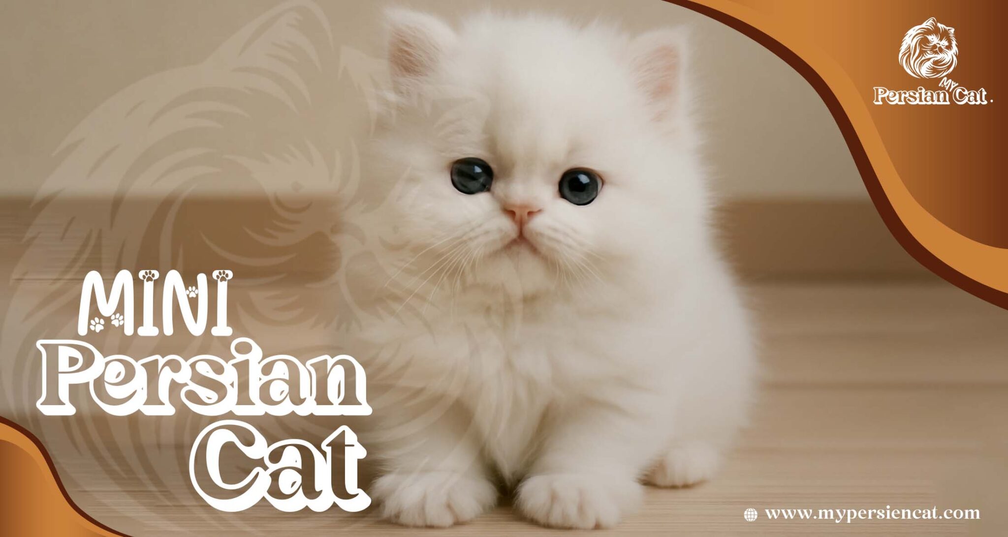 Mini Persian Cats: Beautiful, Rare, And Loved
