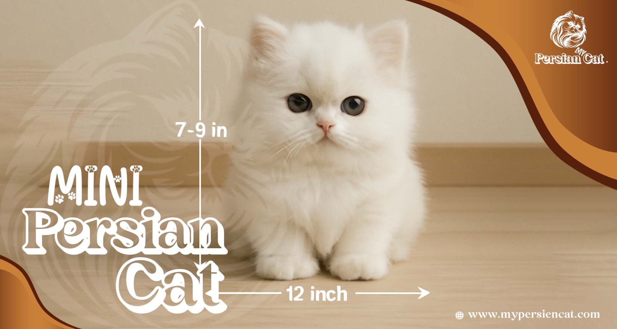 Mini Persian Cats: Beautiful, Rare, And Loved