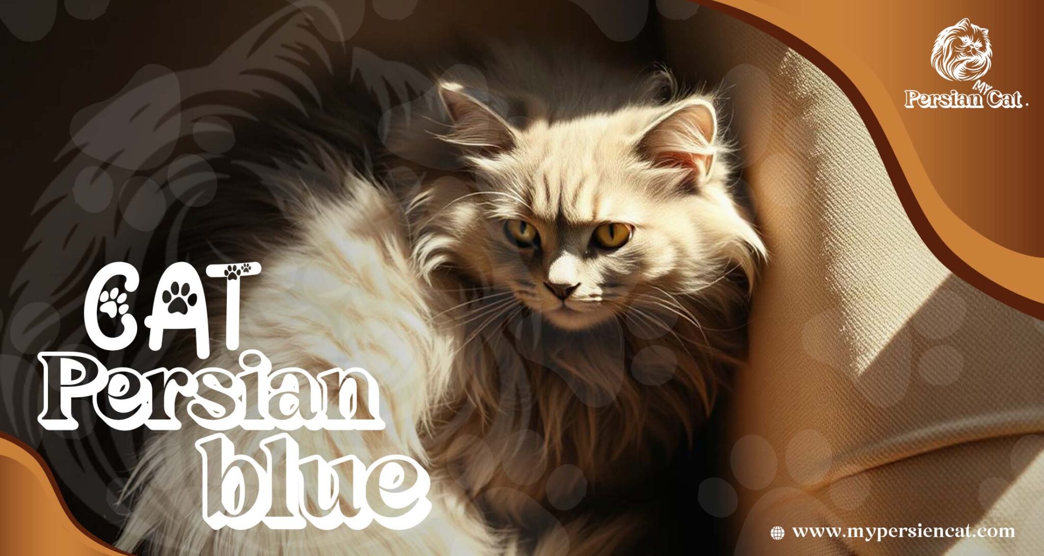 Cat Persian Blue: Amazing The Ultimate Heart Treasure