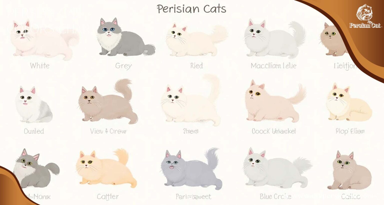 Persian Cat Colors Chart: Proven Fantastic Tips